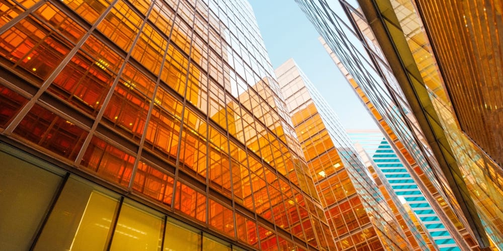 DCW Monthly: July 2025